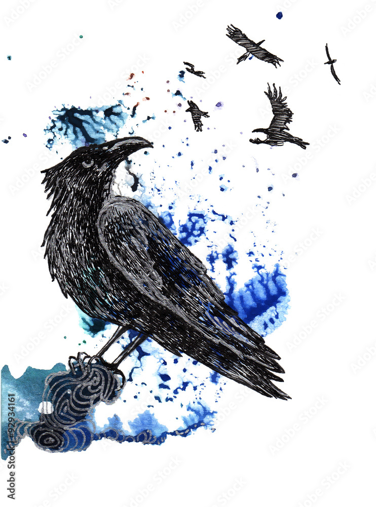 Raven black and silver drawing on a blue green watercolor splash ...