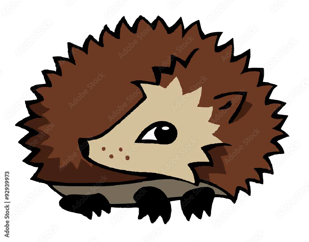 Igel Stock-Vektorgrafik | Adobe Stock