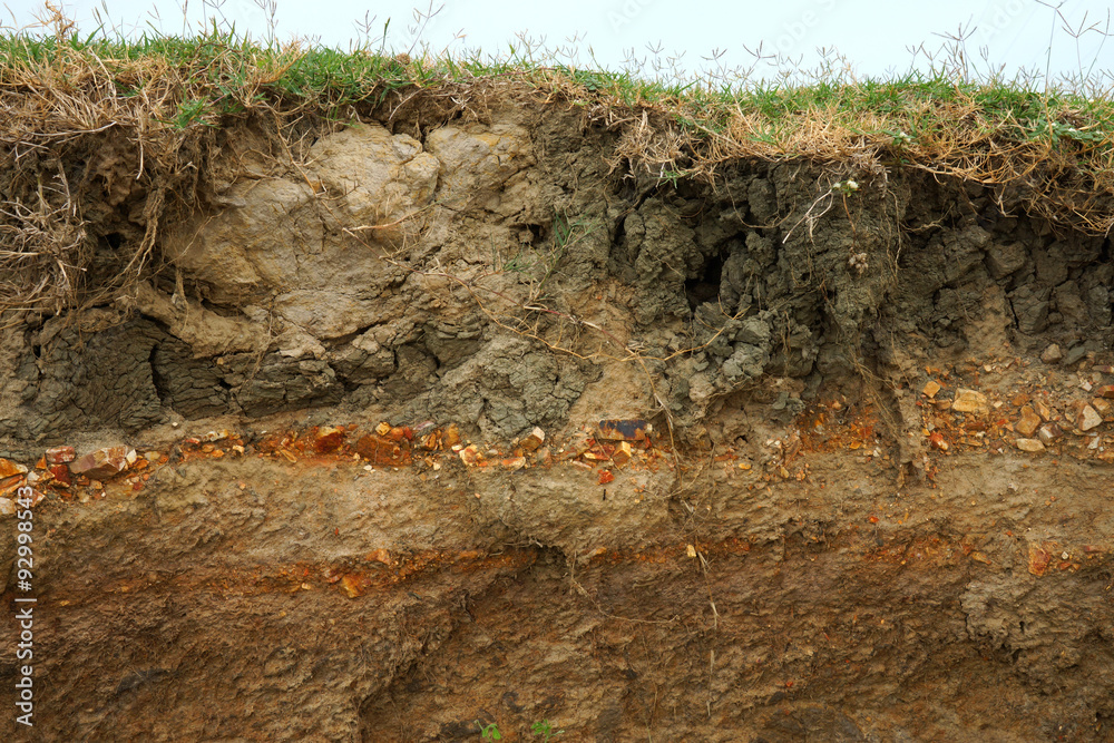 cut of soil with different layers at the Freshwater lake., Thail Stock ...