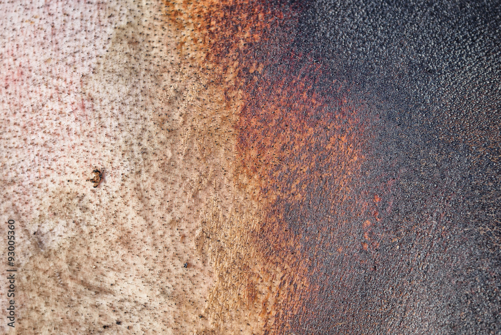 pig skin background, texture of skin roasted pig Stock Photo | Adobe Stock
