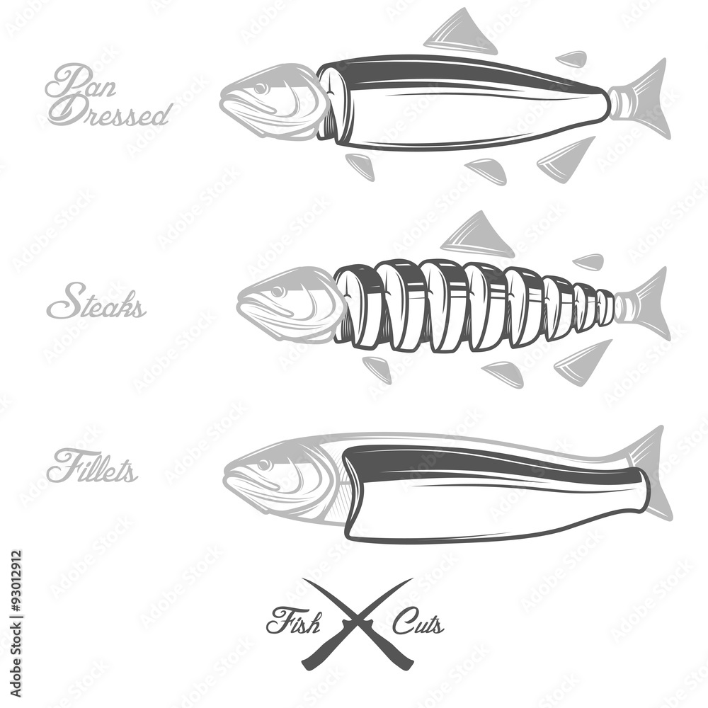 Salmon cuts diagram - whole fish, pan dressed, fillets and steaks Stock ...