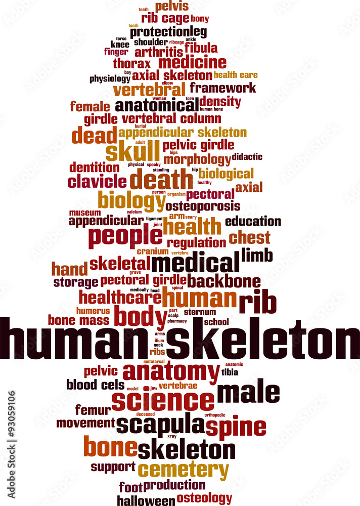 Human skeleton word cloud concept. Vector illustration Stock Vector ...