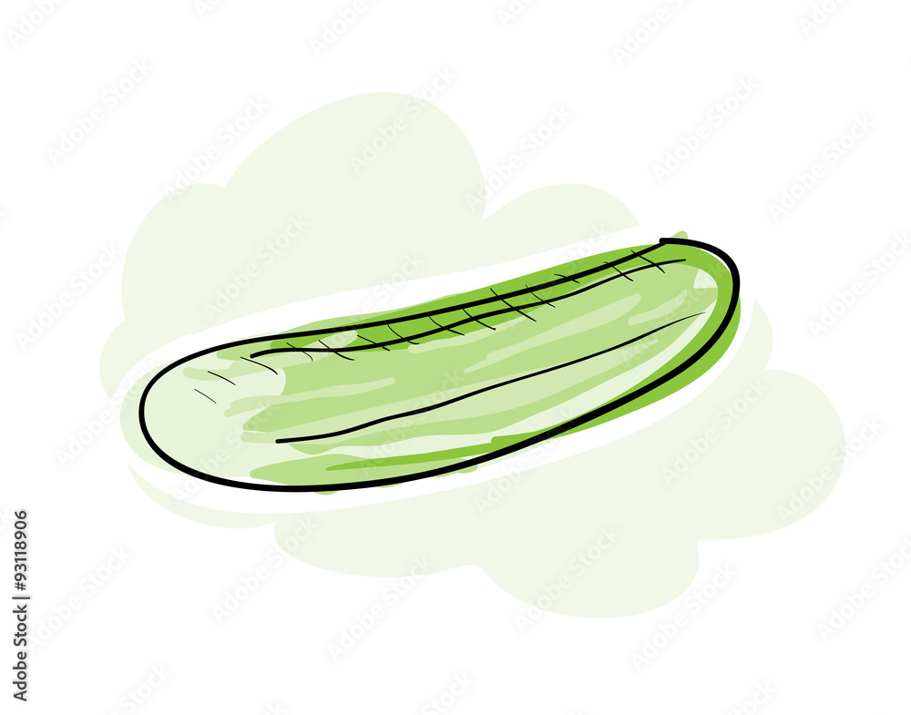 Fresh Cucumber, a hand drawn vector illustration of a fresh cucumber ...