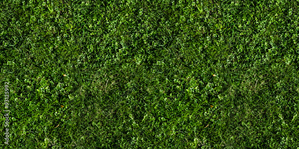 Beautiful seamless tiled green grass texture Stock Photo | Adobe Stock