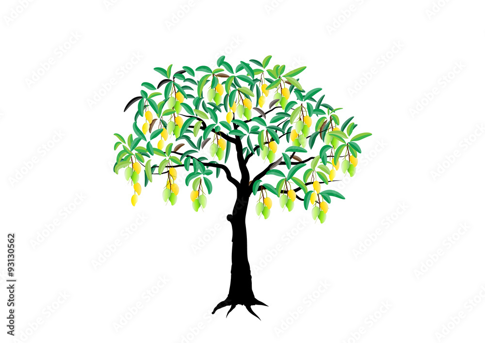 Mango tree on white background,Vector illustration Stock Vector | Adobe ...