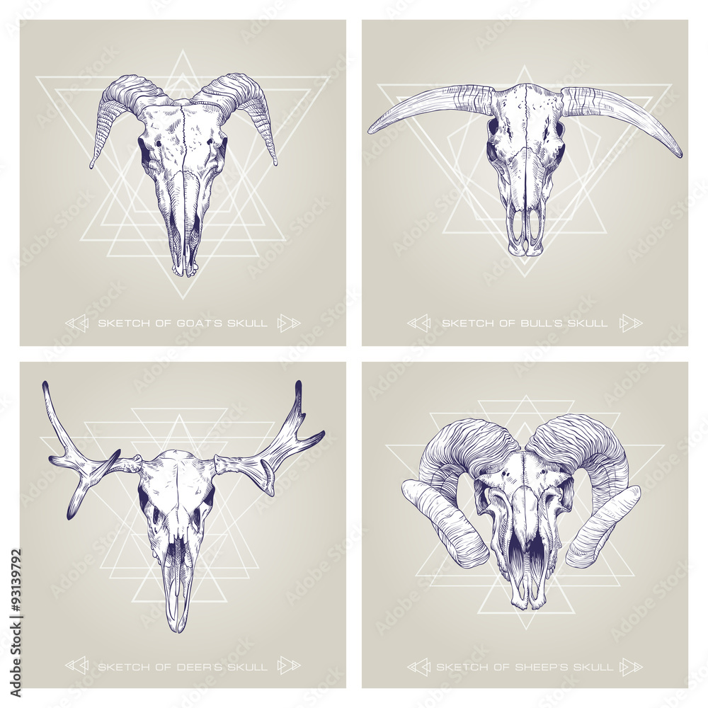 Set of four cards with skulls. Line drawing of skulls. Mystical ...
