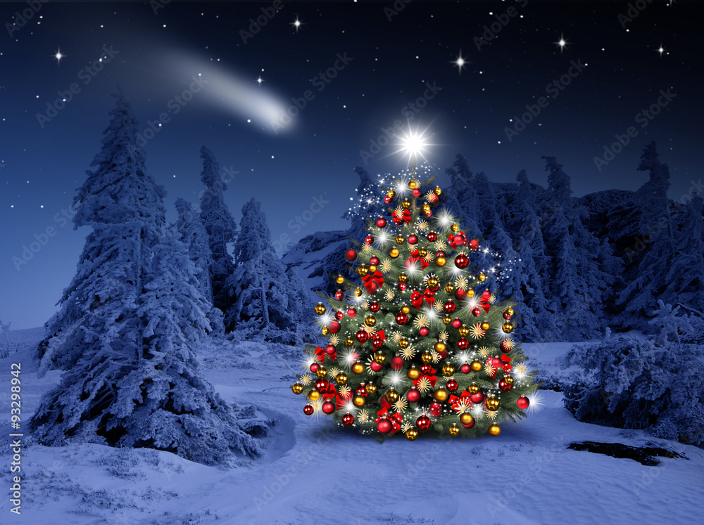 Weihnachtsbaum Im Schnee 1