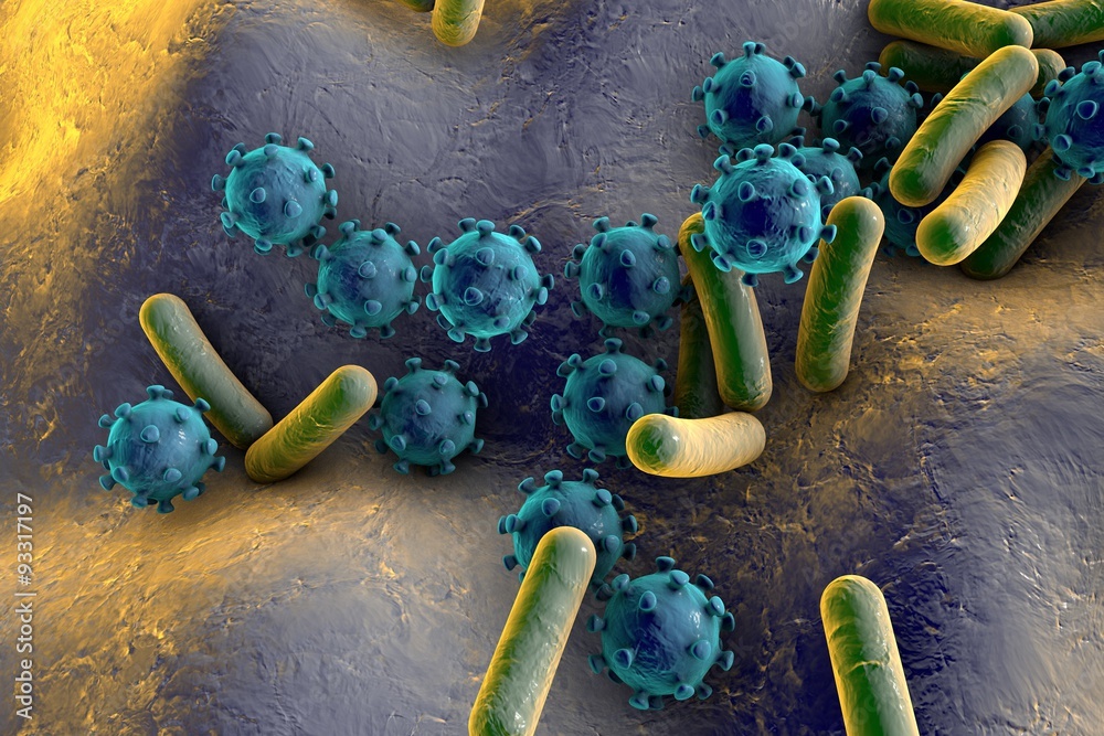 Bacteria and viruses on surface of skin or mucous membrane, model of ...