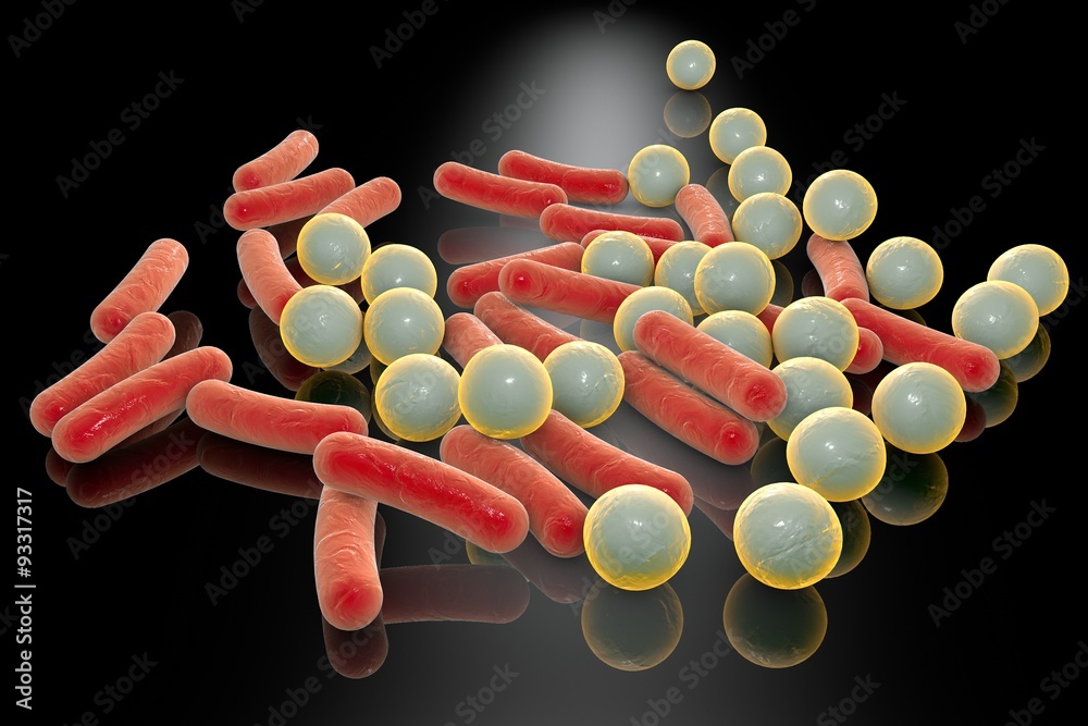 Rod-shaped and spherical bacteria, Escherichia coli, Salmonella ...