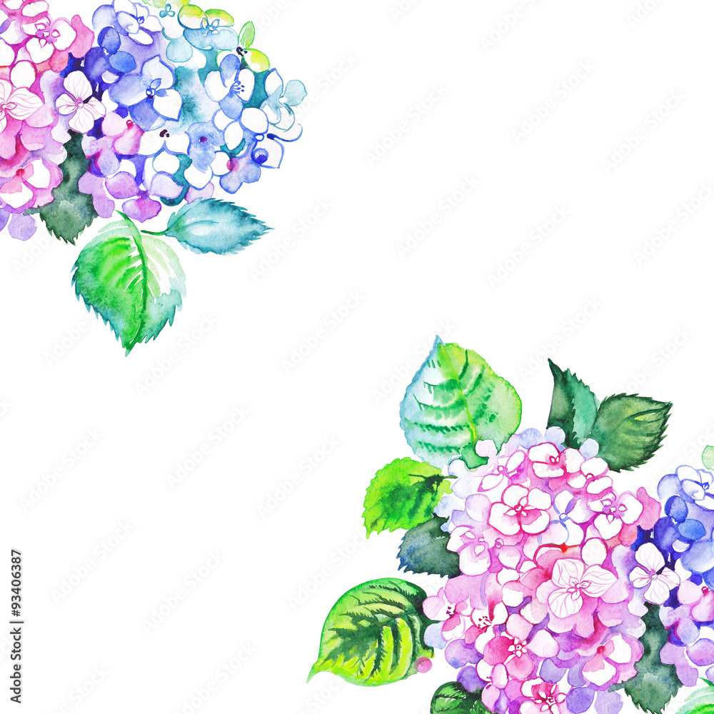 Watercolor hydrangea corners for design. Stock Illustration | Adobe Stock