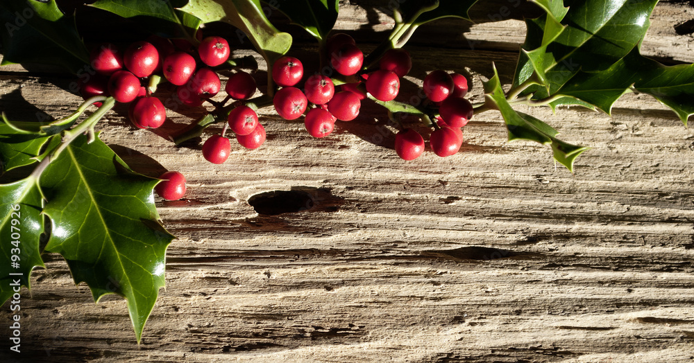 Stechpalme, Ilex Zweige mit roten Beeren auf altem Treibholz / Holz ...