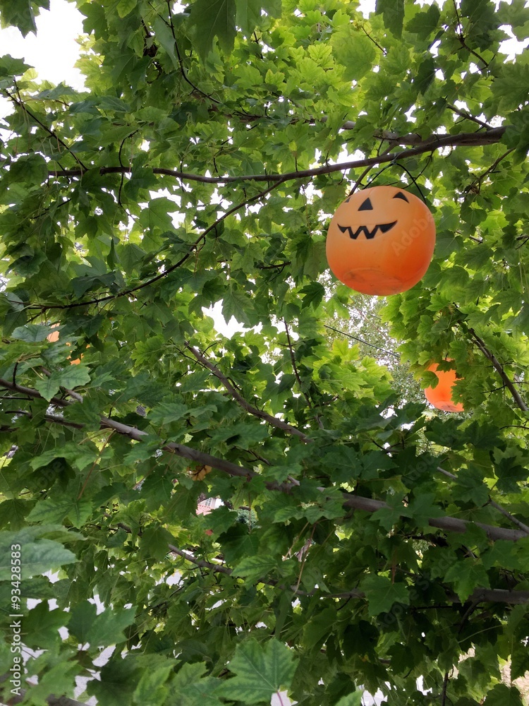jack-o-lantern tree Stock Photo | Adobe Stock