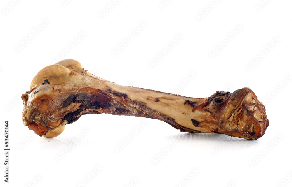 dog bone Stock Photo | Adobe Stock