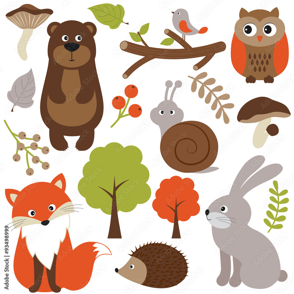 Woodland animals Stock Vector | Adobe Stock