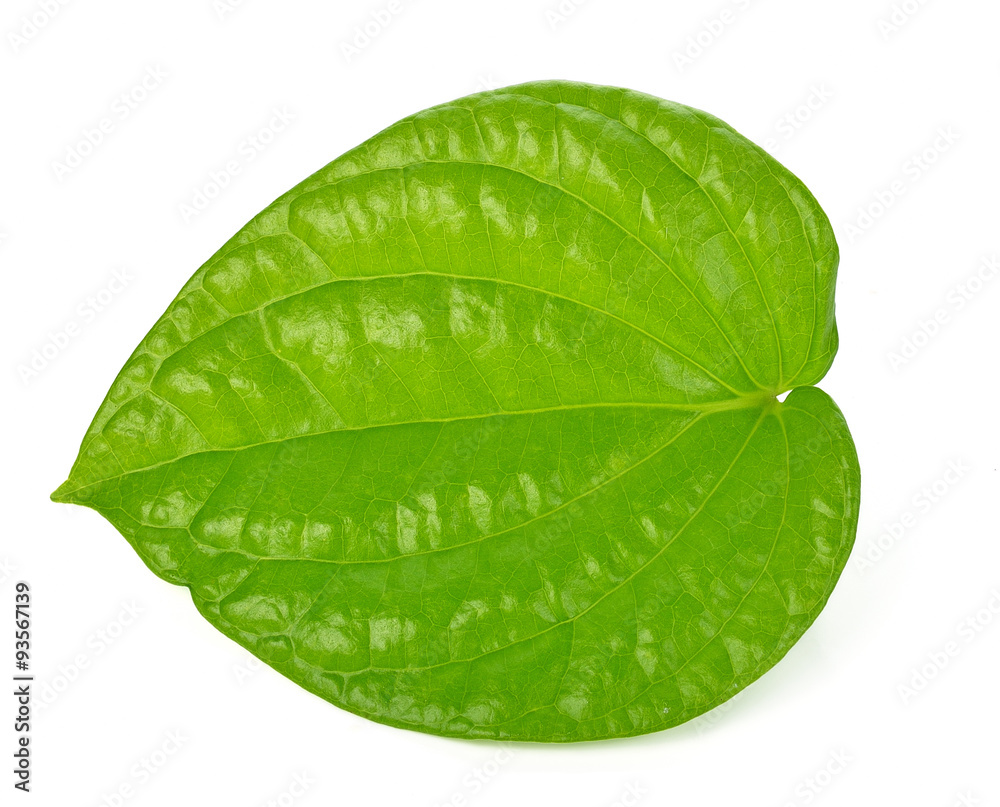 Betel on isolated background. Stock Photo | Adobe Stock