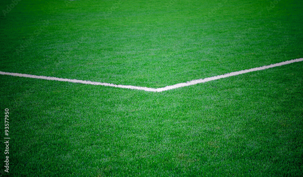 Soccer football grass field Stock Photo | Adobe Stock