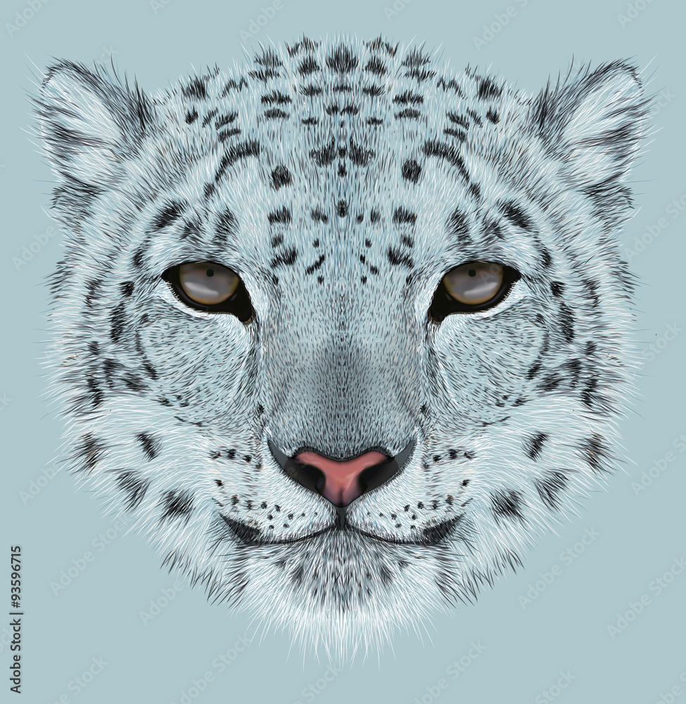 Snow leopard animal cute face. Illustrated Asian Irbis head portrait ...