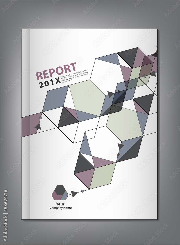 Abstract geometric Annual report Cover design Stock Vector | Adobe Stock