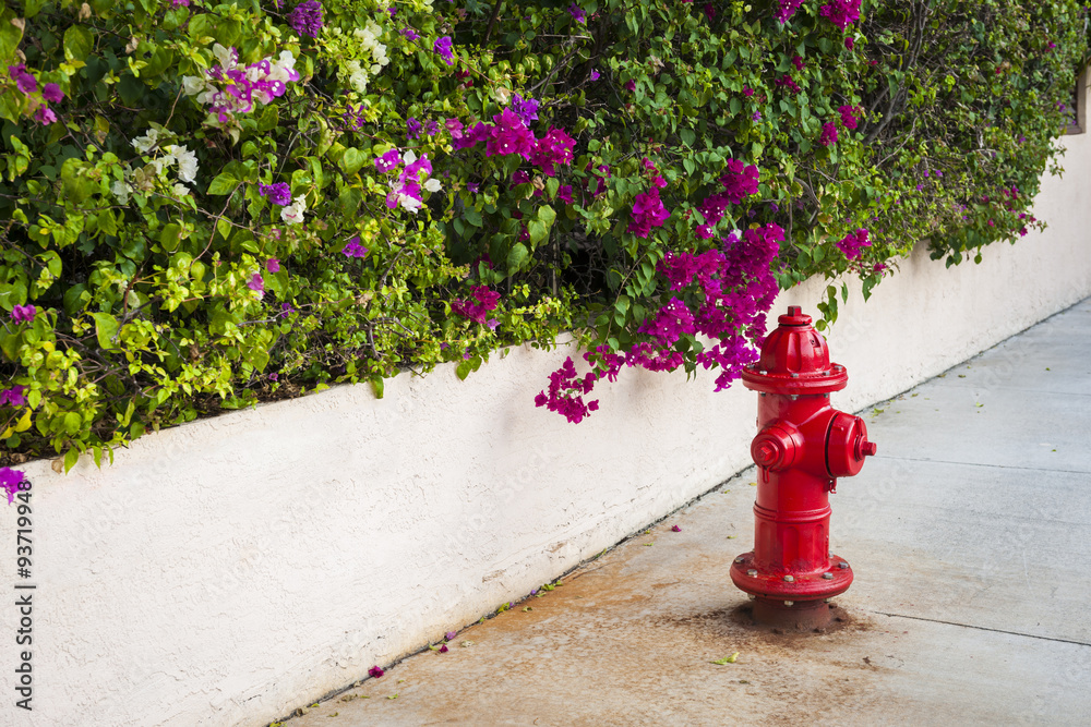 Key West fire hydrant Stock Photo | Adobe Stock