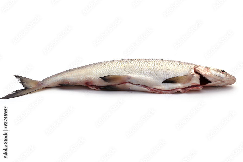 Poisson foto de Stock | Adobe Stock