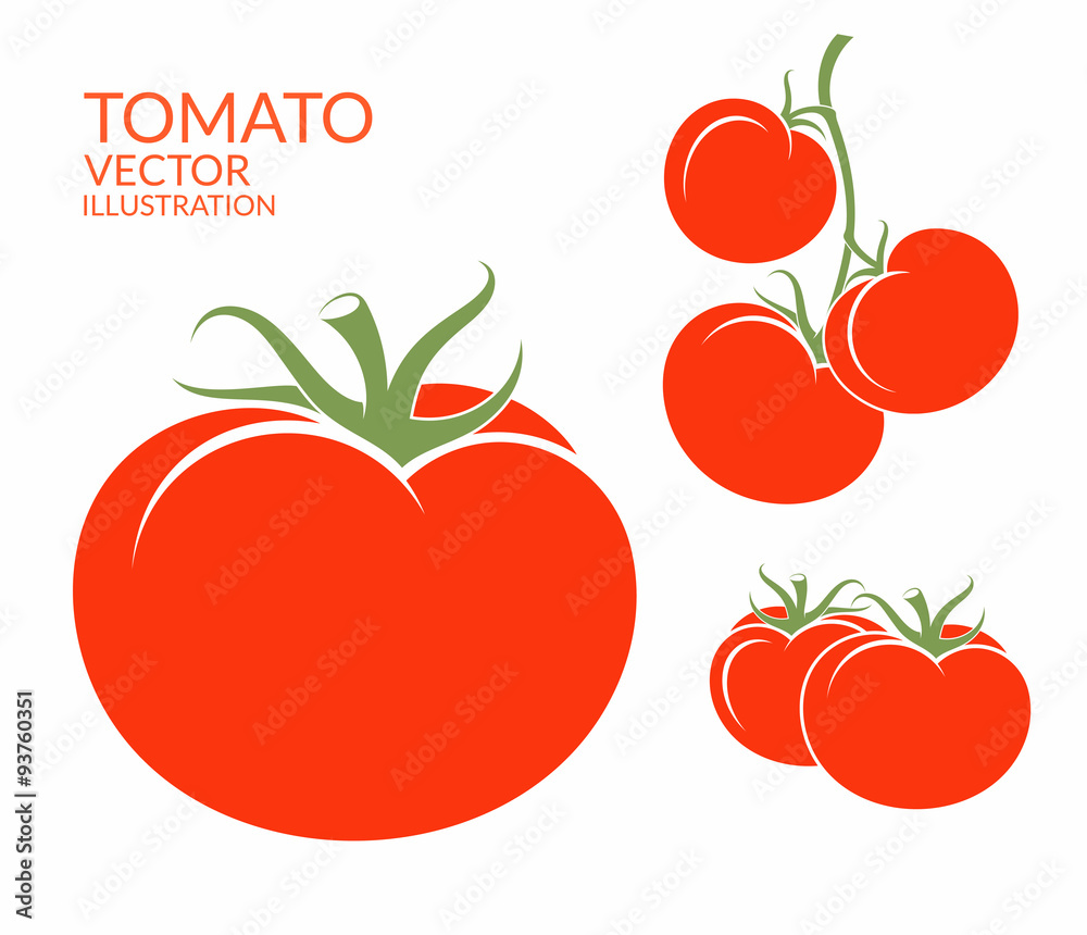 Tomato. Isolated vegetables on white background Stock Vector | Adobe Stock