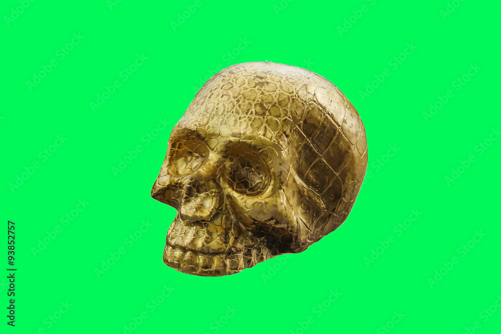 gold skull Isolated on green screen chroma key background. Stock Photo ...