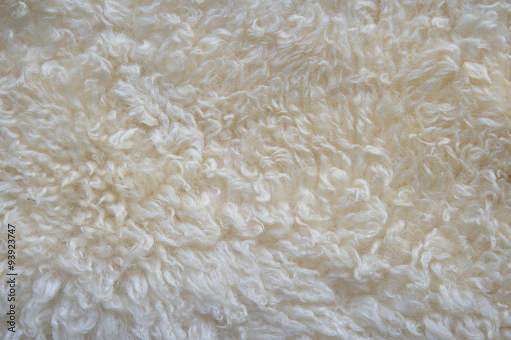 Zdjęcie Stock: white wool fabric texture | Adobe Stock
