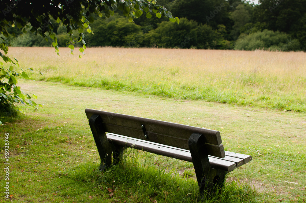 View over a park from behind a park bench Stock Photo | Adobe Stock