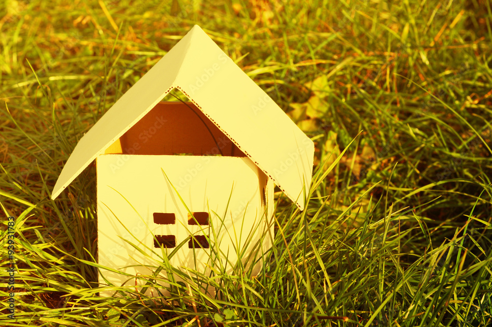 House from paper in a green grass. Model of cardboard house. Concept ...