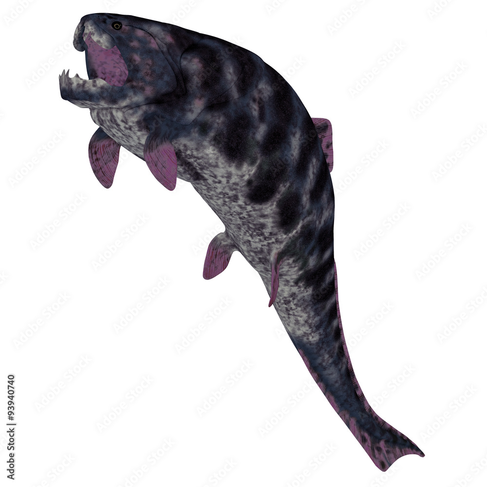 Dunkleosteus Fish on White - Dunkleosteus is a Devonian prehistoric ...