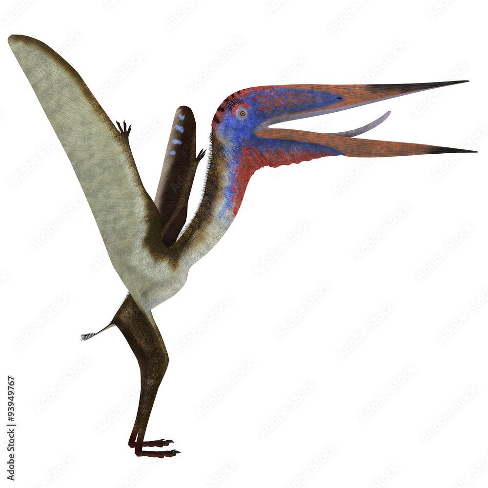 Zhejiangopterus Reptile - Zhejiangopterus was a carnivorous pterosaur ...