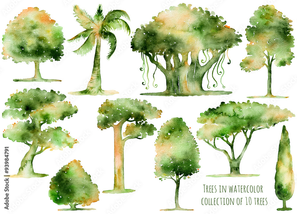 Set of hand drawn watercolor trees.Hand painting watercolor.Collection ...