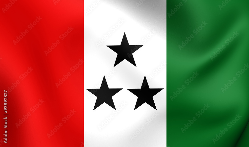 Flag of the Ngabe-Bugle Comarca, Panama. Stock Illustration | Adobe Stock