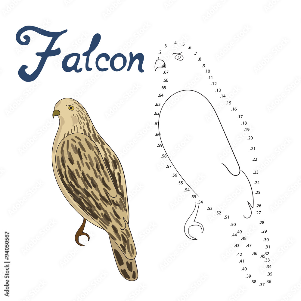 How To Draw A Falcon
