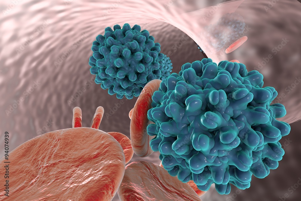 Hepatitis B virus in blood vessel with red blood cells. A model of ...