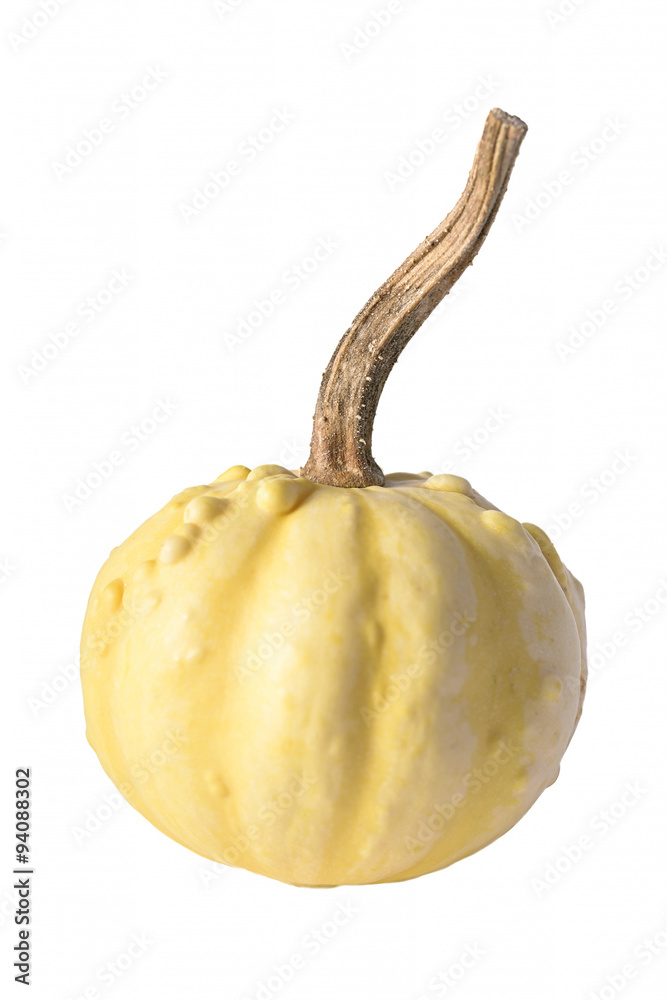 small yellow decorative pumpkin isolated on white background Stock ...