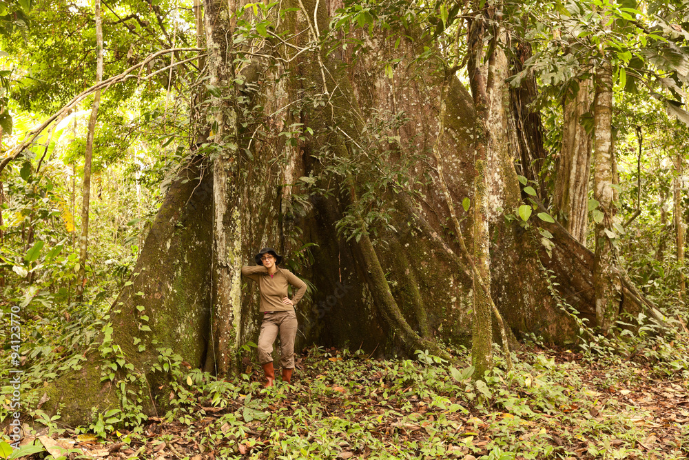 Puerto Rico National Tree
