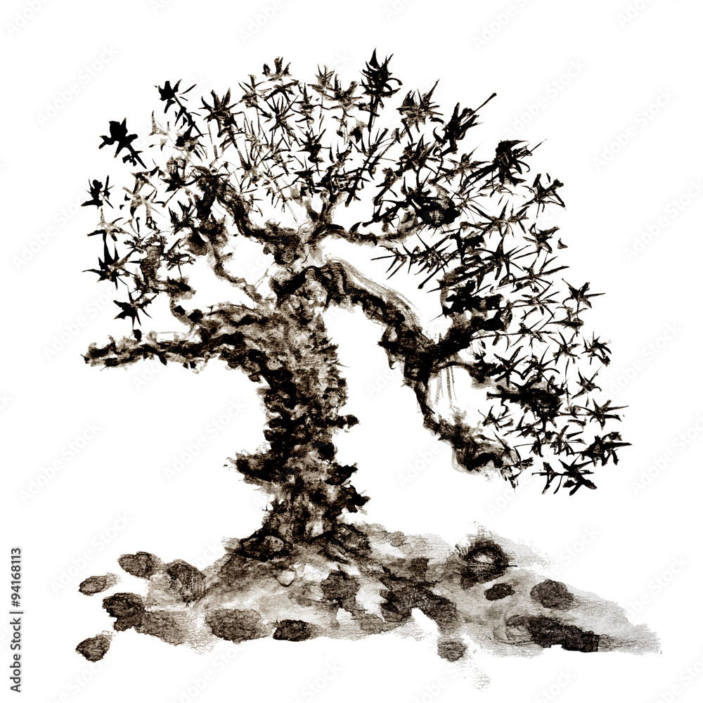 Pine trees isolated on white background. Ink drawing in the Chinese ...