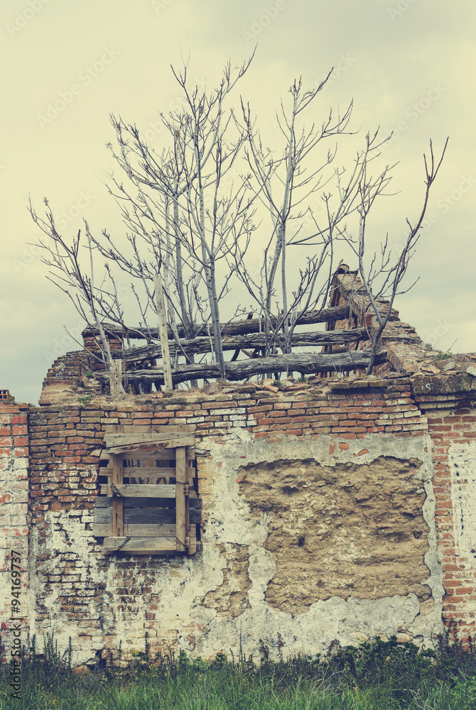 Villages Of Inside Trees