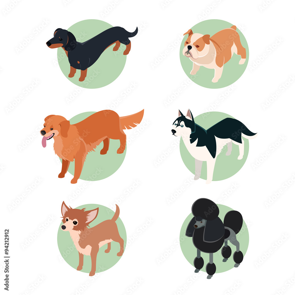 Collection of isometric dogs2 Stock Vector | Adobe Stock
