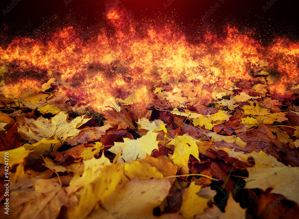 Background from the burning autumn leaves Stock Photo | Adobe Stock