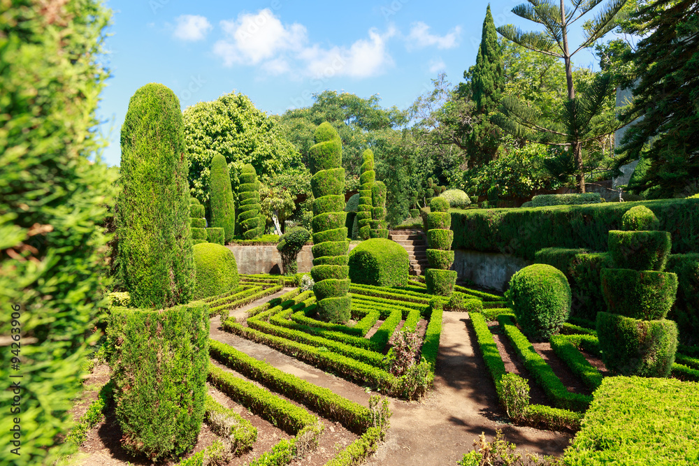 Exquisite bushes in the garden Stock Photo | Adobe Stock