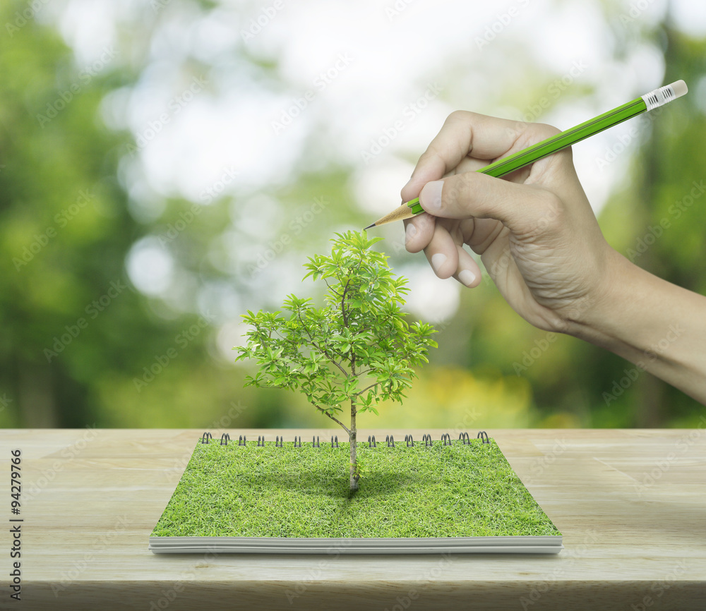 Hand with pencil drawing a tree growing from an open book on woo Stock ...