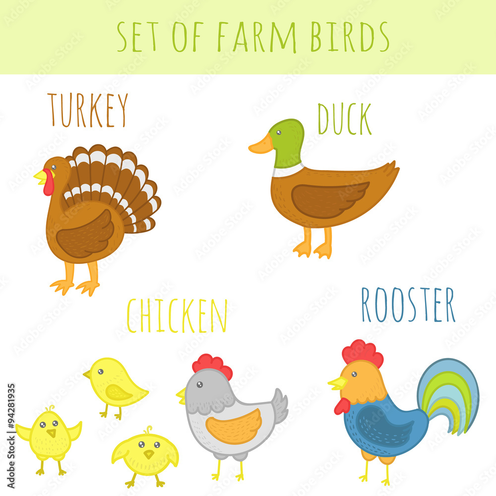 Pictures Of Birds And Their Names