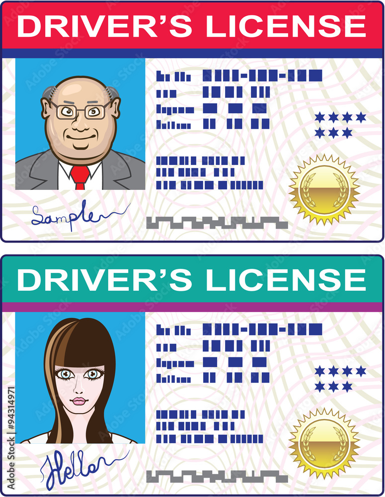 Driver's License Vector file Mans and Girls Stock Vector | Adobe Stock