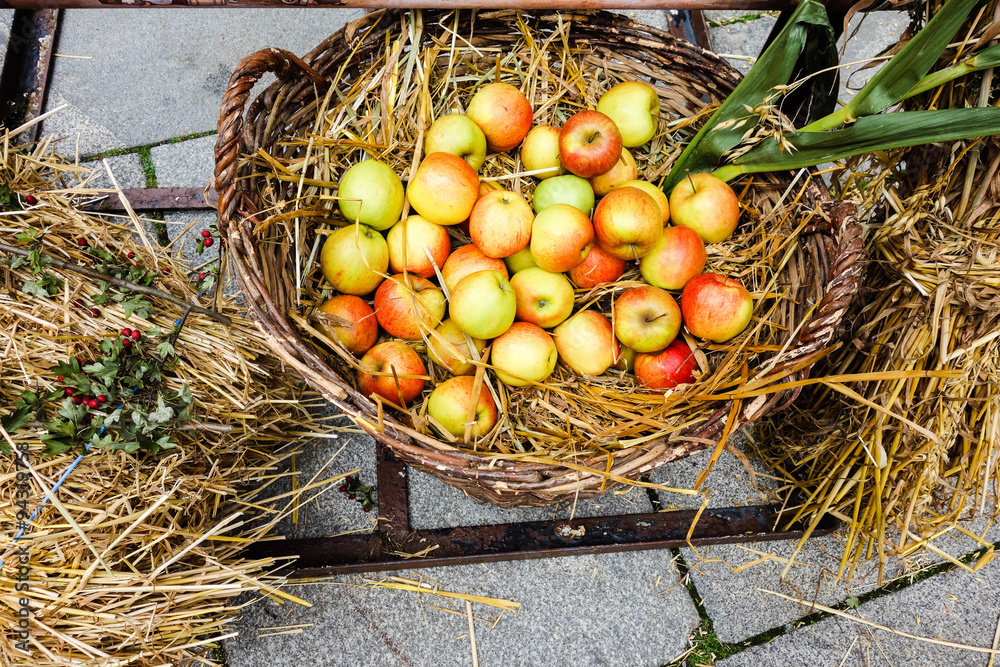 Apfelernte im Herbst Stock-Foto | Adobe Stock