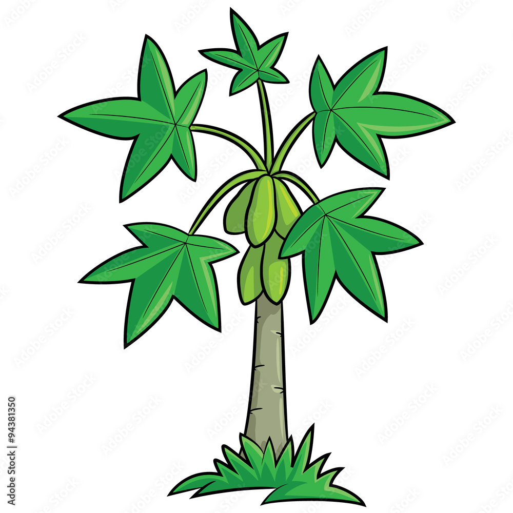 Papaya Tree Cartoon Illustration of cute cartoon papaya tree. Stock ...