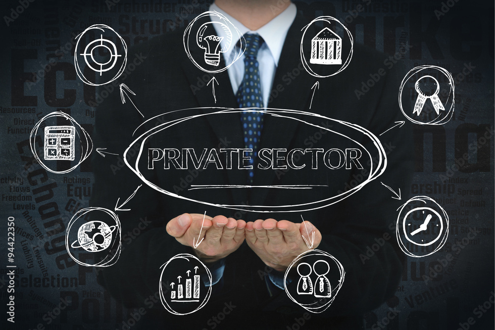 Private Sector Examples