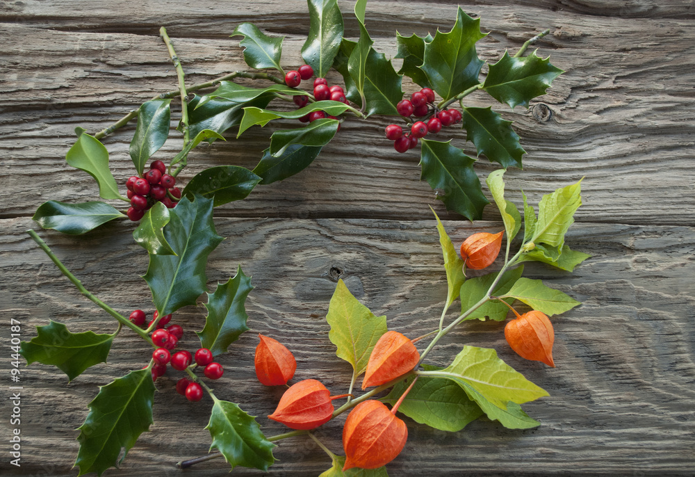 Stechpalme, Ilex Zweige mit roten Beeren und Lampionblume auf altem ...