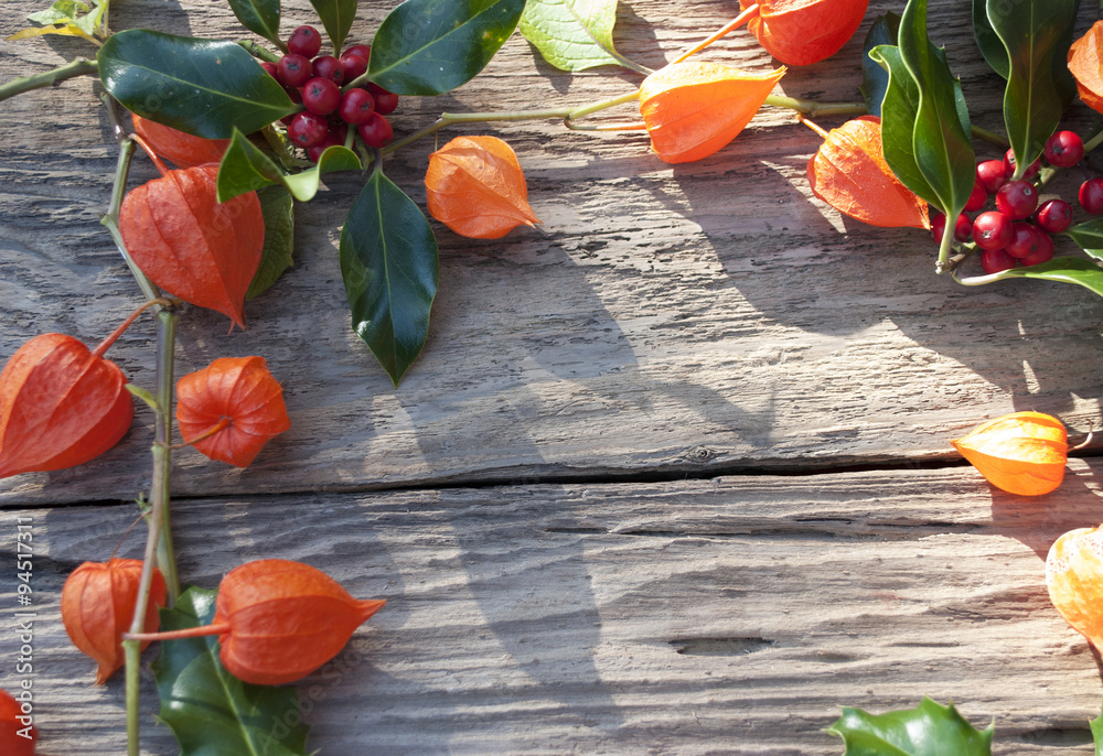 Stechpalme, Ilex Zweige mit roten Beeren und Lampionblumen auf altem ...